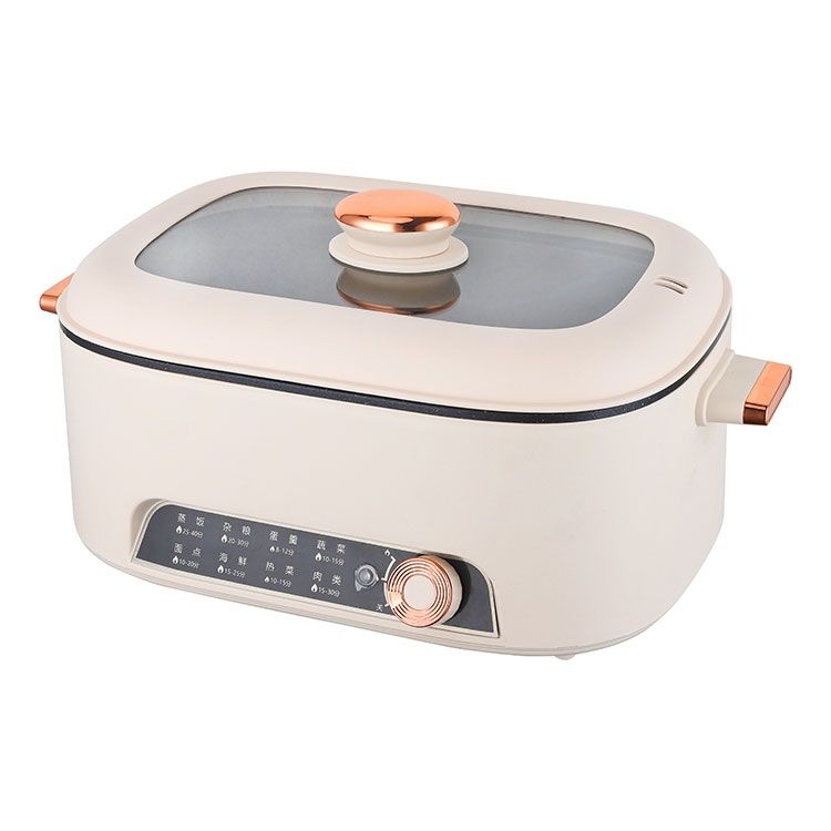 1355W Multi-Functional Cooking Pot Hotpot